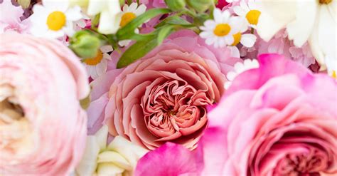 Spring Fever Designing With Miyabi And Cherry Blossoms Dvflora