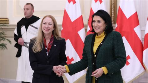 აშშ ის ელჩმა ზურაბიშვილს და ზალკალიანს რწმუნებათა სიგელები გადასცა