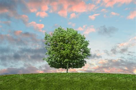 Webpack 2 Tree Shaking Configuration Modus Create