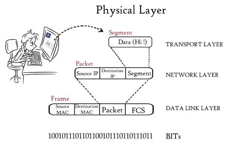 A Comprehensive Guide To Understanding Which Osi Layer Encrypts Data