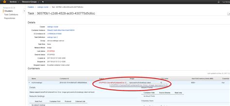 Docker Weblogic Image On Amazon Ec2 Container Service Conclusion Amis Technology Blog