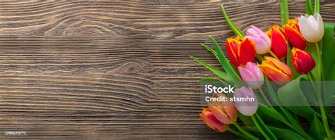 갈색 나무 소박한 테이블에 튤립의 꽃다발 봄 방학 컨셉 배경과 복사 공간이 있습니다 튤립에 대한 스톡 사진 및 기타 이미지 튤립 0명 3월 Istock