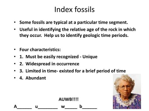 Which Fossils Are Index Fossils