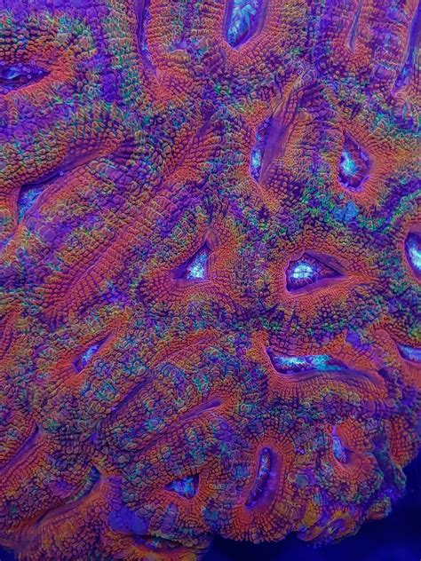 Alien Aquatics Home Facebook