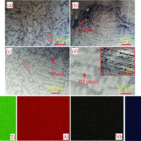 B Sn A Body Centered Tetragonal Bct Crystal Structure B The Download Scientific Diagram