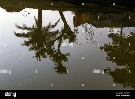 Tree Reflection On Water Abstract Photography Stock Photo Alamy