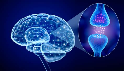 Brain Neuron Synapse Kaleidoscope Fighting Lupus