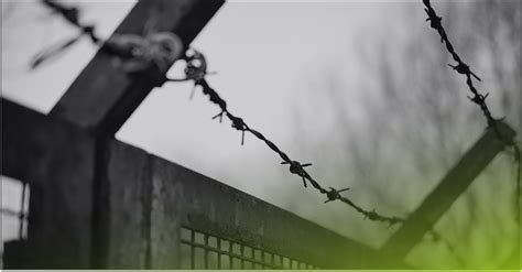 Latest Wordpress Security News Patchstack Articles