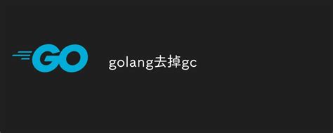 討論golang中去掉垃圾回收機制的可行性與實作方法 Golang Php中文網 討論golang中去掉垃圾回收機制的可行性與實作方法 Golang Php中文網