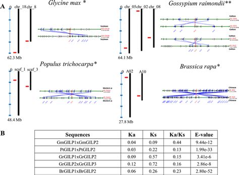 Agilp Genes Location Analyses Conducted In Plaza Database Gilp Genes