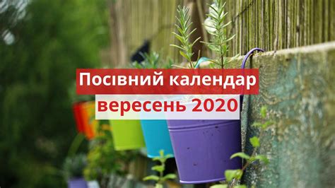 Місячний посівний календар на вересень 2020 коли і що садити Радіо Максимум