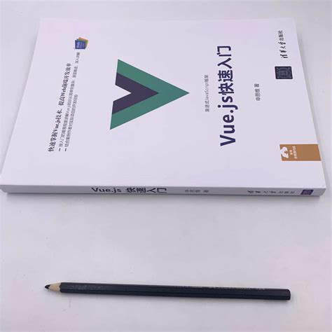 vue js快速入门申思维目前主流单页应用框架vue js项目前端开发编程程序设计书籍附有源代码 虎窝淘