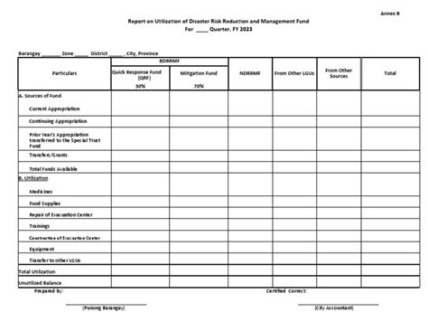 Bdrrmp Fund Utilization Report Template Pdf