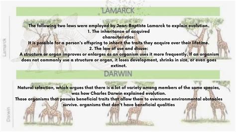 Evolutionpptx Free Download