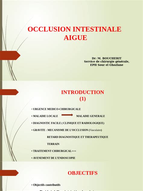Occlusion Intestinale Pdf Tractus Gastro Intestinal Médecine Clinique