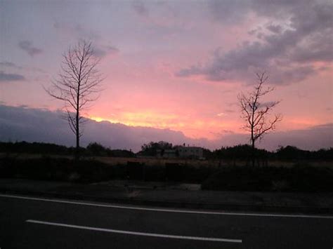 風景 春は曙 フォト折々 自然 風景 花 猫 写真 画像 楽天ブログ