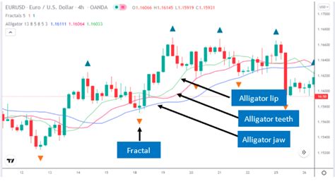 Introduction To Fractals In Forex Mycryptopedia