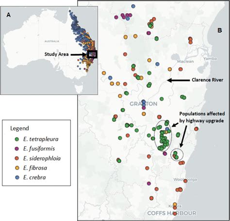 Distribution Of Eucalyptus Tetrapleura And Other Ironbarks In A Download Scientific Diagram