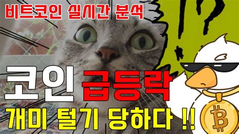 비트코인 실시간 방송 비트코인 급등락 이유 개미털기 시원하네 Youtube