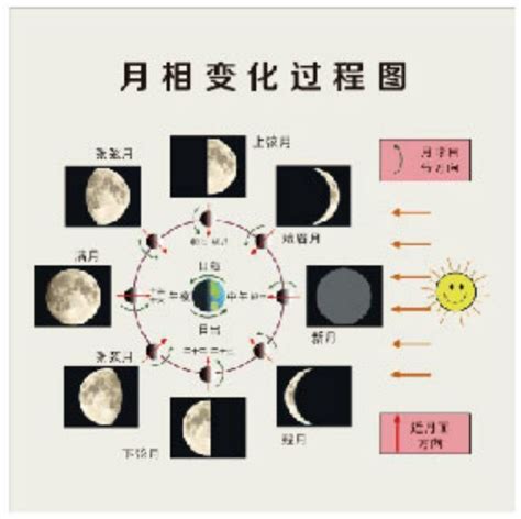 11月份的月相变化图 大山谷图库