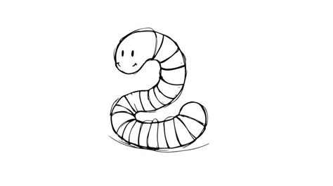 Animation Forms A Sketch Of A Worm Icon 51586873 Stock Video At Vecteezy