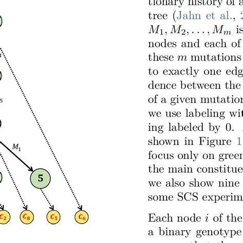 An Example Of Mutation Tree Green Nodes Solid Edges From Which