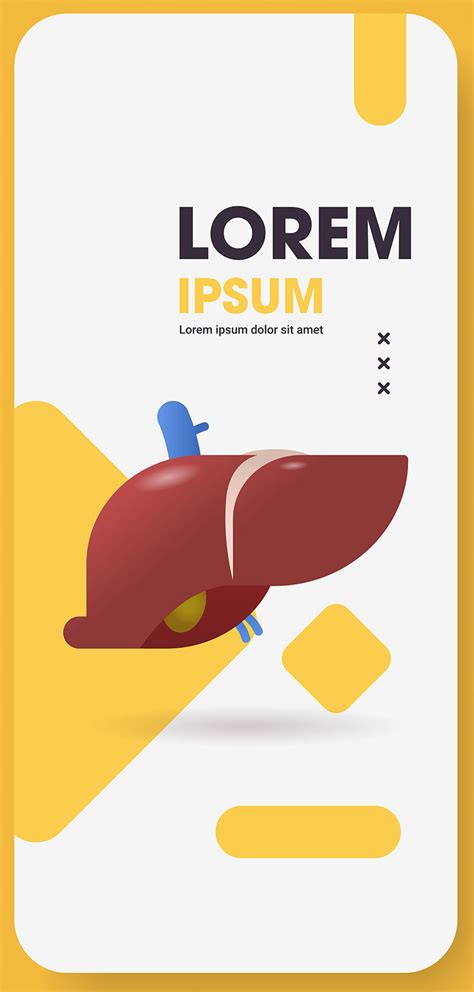 Liver Vector Poster
