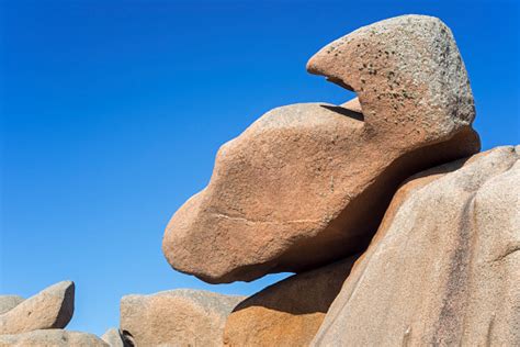 코트 드 화강암 장미 핑크 화강암 해안 코트 다아르머 브리트니 프랑스를 따라 이상한 암석 형성과 물 바람이 침식 바위 0명에 대한 스톡 사진 및 기타 이미지 Istock