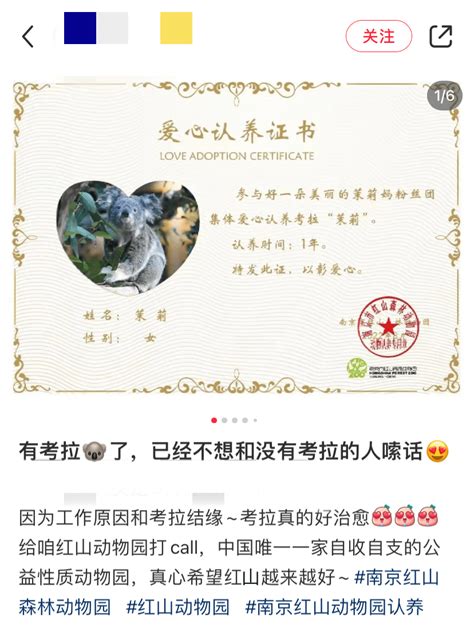 一年花几千真的能帮穷上热搜的动物园化险为夷 南京 红山 经营