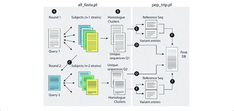 Building Concatenated Databases From A Dataset Of Fasta Files A Download Scientific