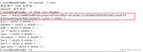 linux系统计划任务与root账号管理实验 csdn博客