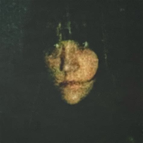 Heidi Mitchell Youtube