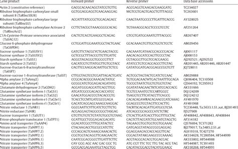 Forward And Reverse Oligonucleotide Primer Sequences Used For Real Time Download Scientific