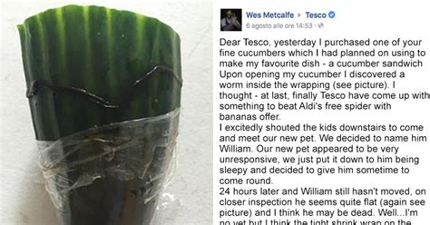 Man Complains About A Dead Worm He Found In His Cucumber When Tesco Replied Things Got Hilarious
