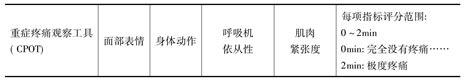 一疼痛程度的评估 临床医学 医学