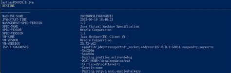 Arthas常用命令（五） Heapdump 、jvmarthas Heapdump Csdn博客