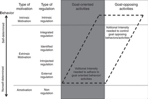 This Theoretical Model Explains How The Different Types Of Motivation Download Scientific