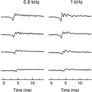 Response Waveforms From KHz To KHz Reveal A Well Defined Download Scientific Diagram
