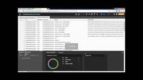 Rev Salesforce Analytics Demo Youtube