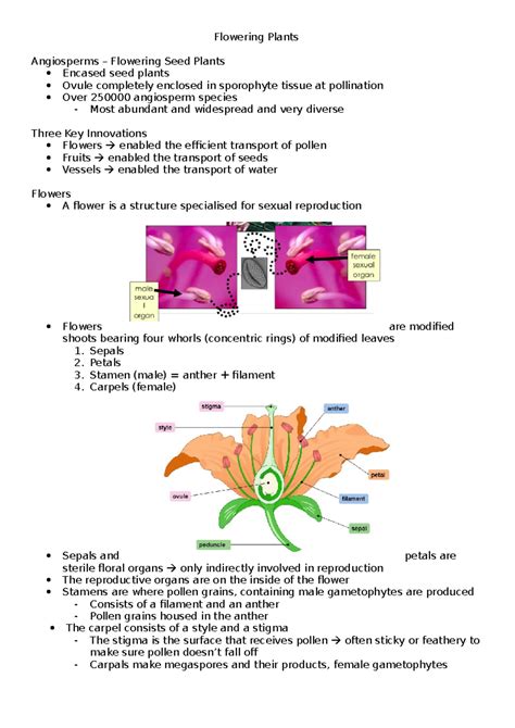 Week 6 Lec 2 Week 6 Lecture 2 Notes 091123 Biocomplexity UTS StuDocu
