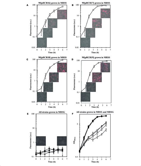 Trans Complementation Of The Sorbitol Utilization Regulatory