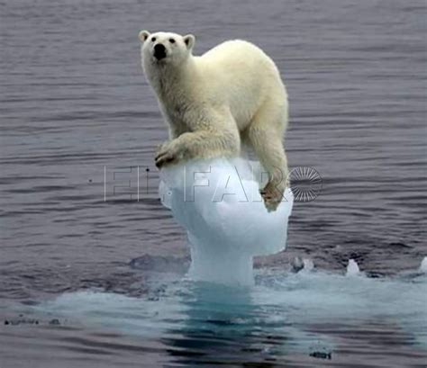 Colaboración Consecuencias Del Cambio Climático