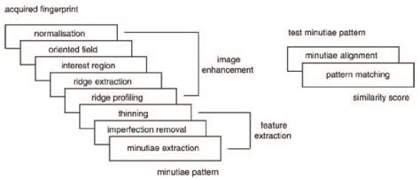 Block Diagram Architecture Of The Automatic Fingerprint Verification Download Scientific