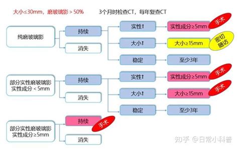 牛立志院长谈肺结节的冷冻消融 知乎