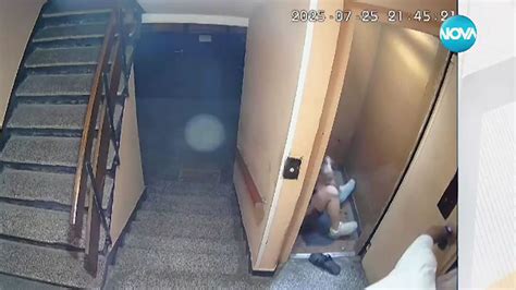 Домашен питбул без намордник нападна момиче и нейното куче в столичния квартал Люлин Новини бг