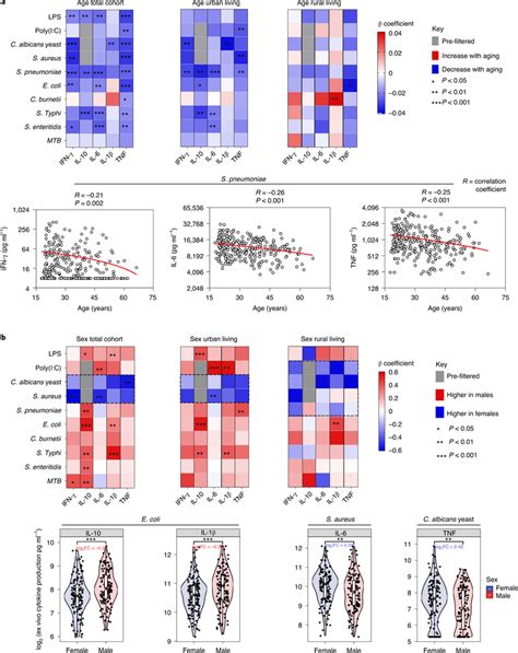 Impact Of Age And Sex On Cytokine Production Capacity A Heat Maps