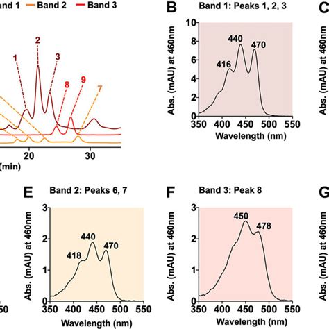 Hplc Analysis Of Zeaxanthin Metabolites In Mouse Tissues Chiral Hplc Download Scientific