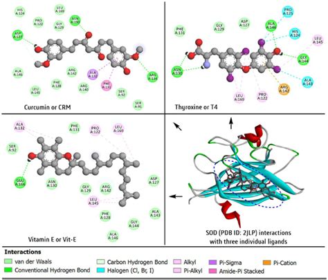 Molecular Interaction Of Ligand 1 2 And 3 Against Sod During Docking