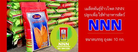 เมล็ดพันธุ์ข้าวโพด Nnn