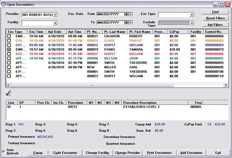 Hospital Charting Software